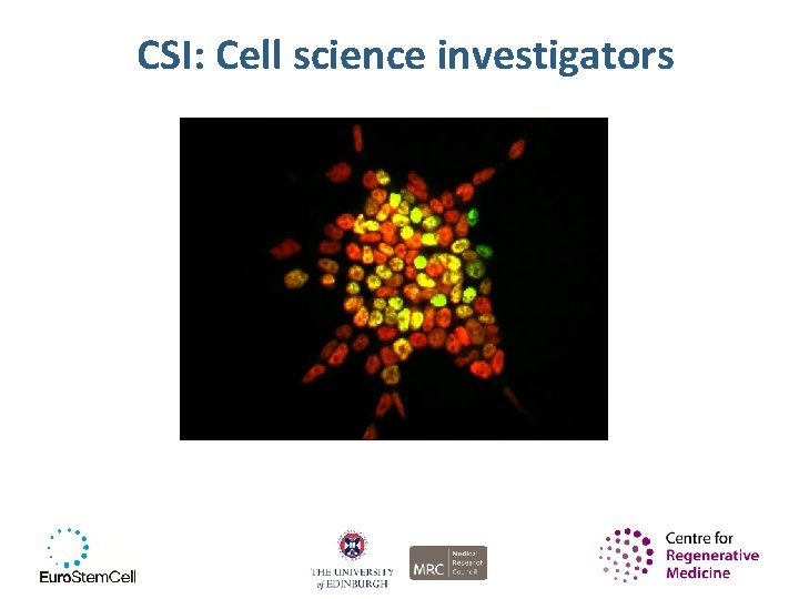 CSI Cell science investigators Am Ende dieses Unterrichts