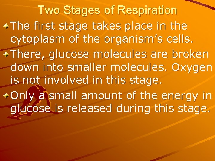 Cellular Respiration Storing and Releasing Energy During photosynthesis