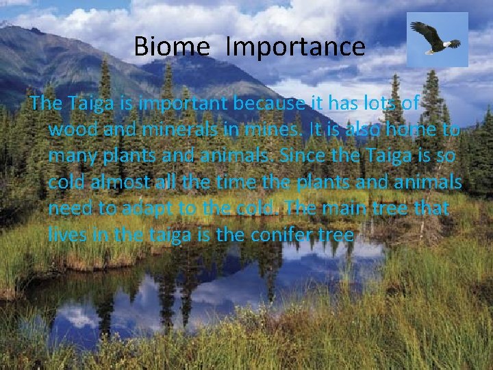 The Taiga BY Mike Segreto Locations and its