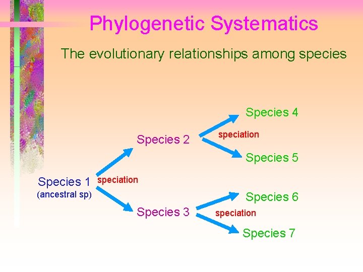 Ch 4 Taxonomy and Phylogeny of Animals Carolus