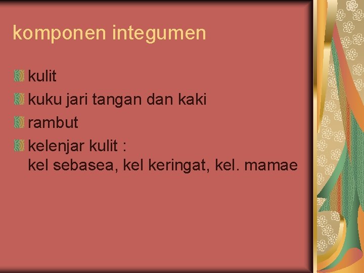 SISTEM INTEGUMEN integumen membentuk lapisan terluar pada tubuh