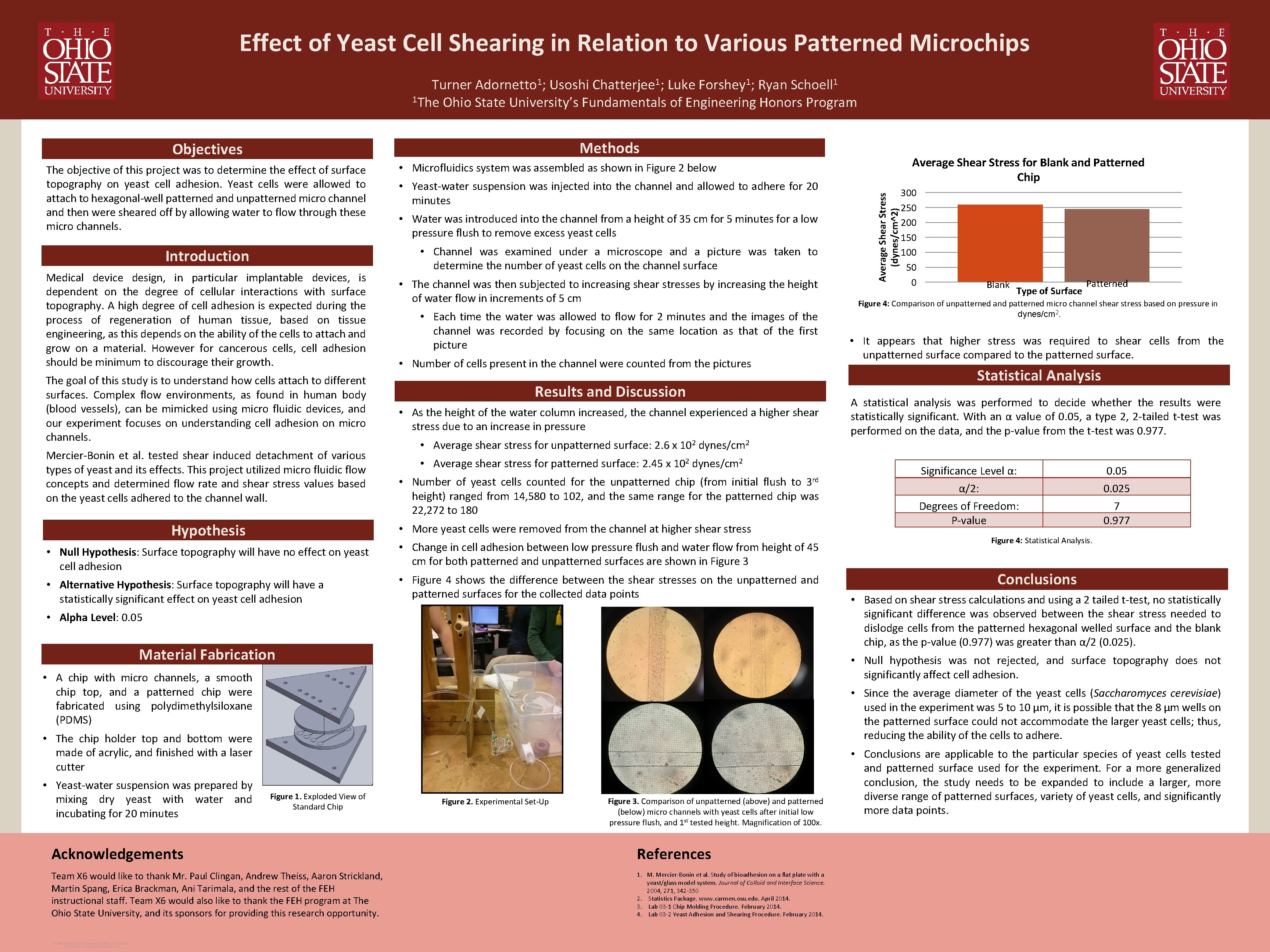 Effect of Yeast Cell Shearing in Relation to