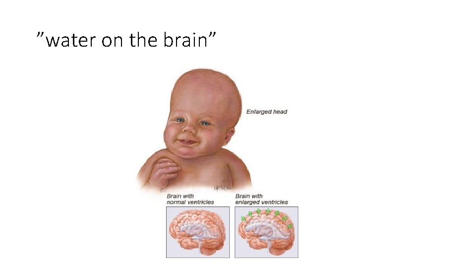 Indian Christofer Columbus 1492 History of Native Americans