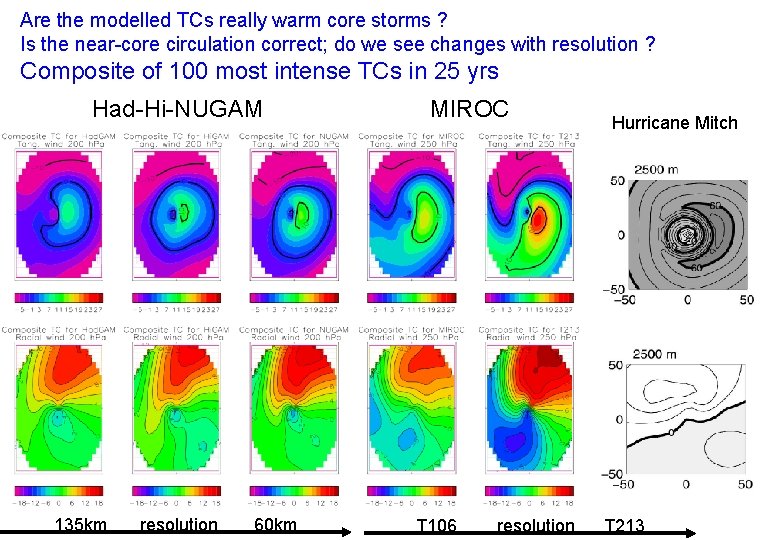 Tropical cyclones in global climate models the role