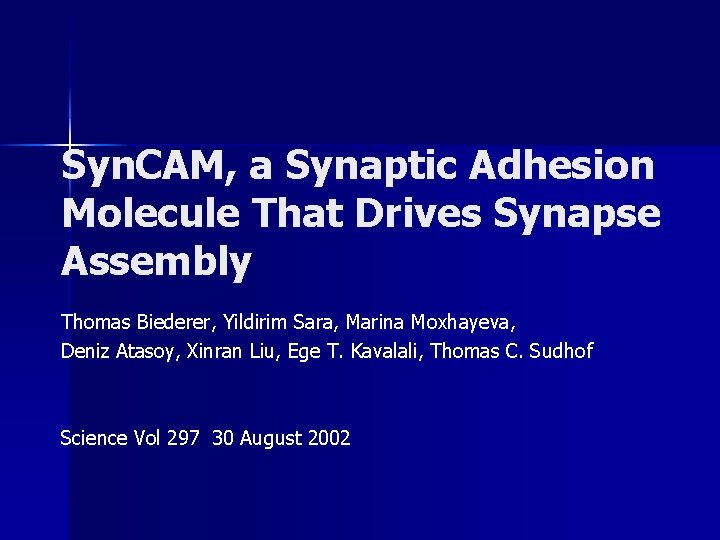 Syn CAM a Synaptic Adhesion Molecule That Drives