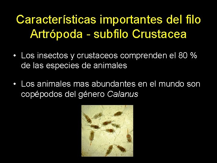 Artrpodos mandbulados acuticos y terrestres Captulos 19 y