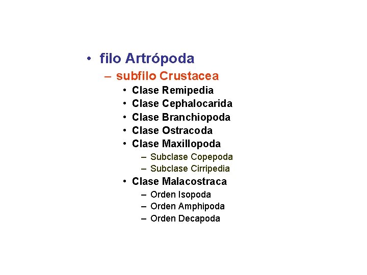 Artrpodos mandbulados acuticos y terrestres Captulos 19 y