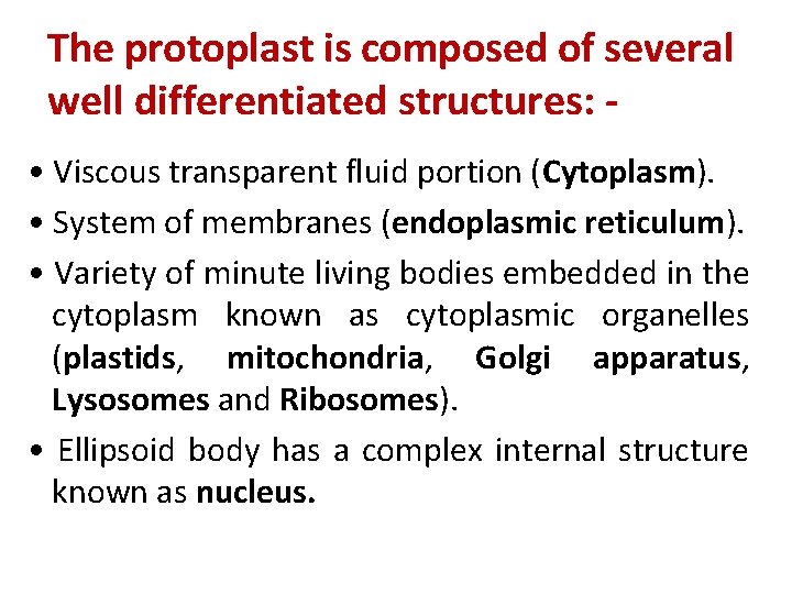 Anatomy PLANT CELL CONTENTS The cell is the