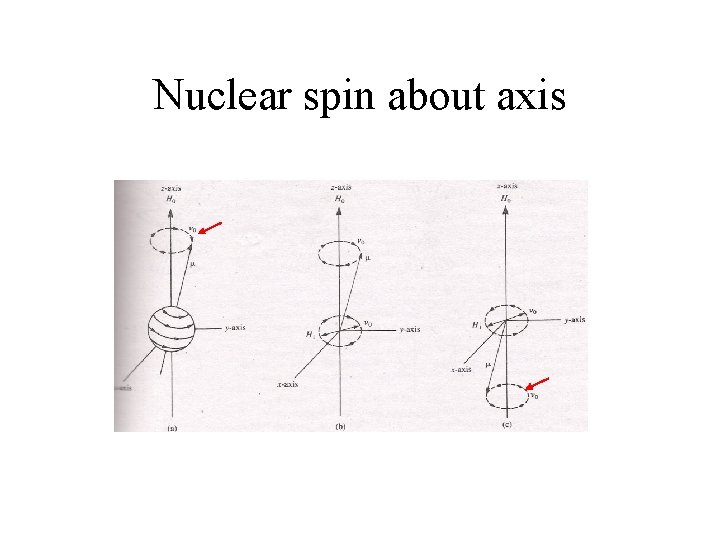 Nuclear Magnetic Resonance Spectroscopy NMR Study of response
