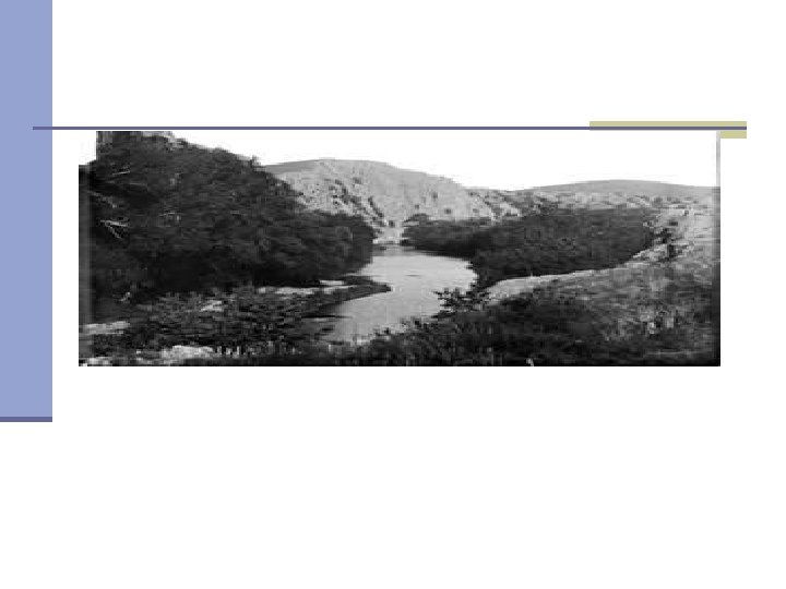 One Nation Many Tribes Linda Sue Warner Ph