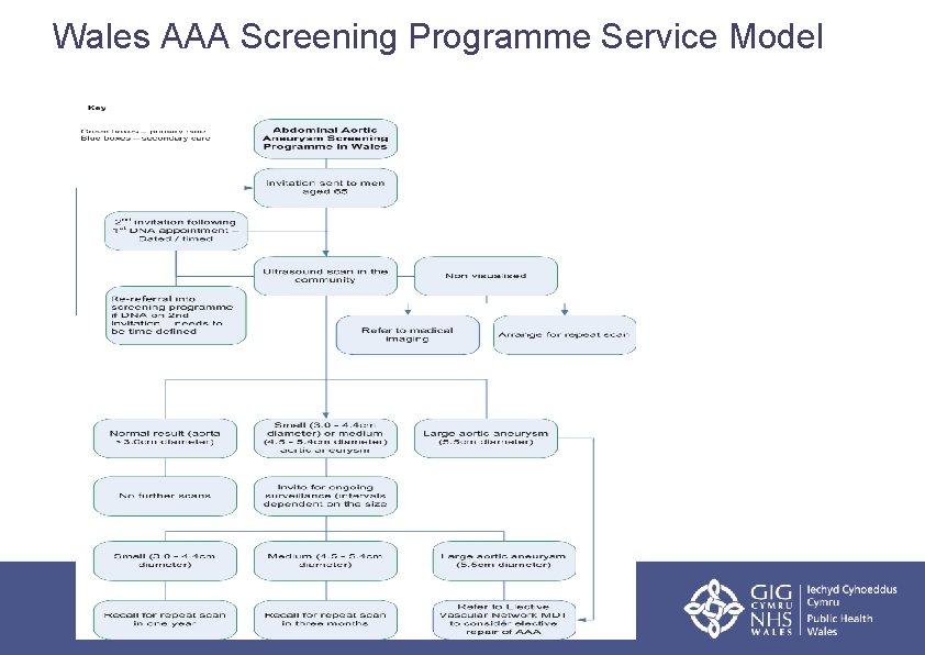 9 10 12 Abdominal Aortic Aneurysm How a