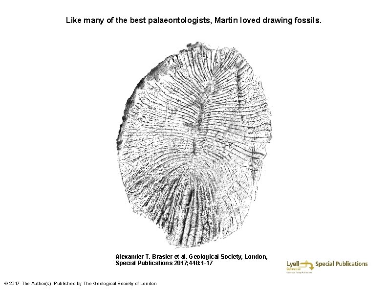 Contributions of Professor Martin Brasier to the study