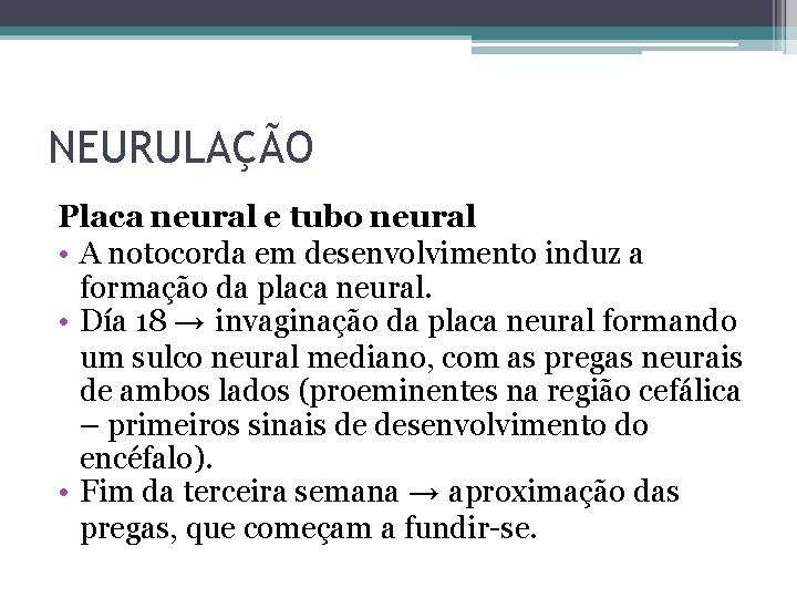 DESENVOLVIMENTO EMBRIOLGICO DO SISTEMA NERVOSO CENTRAL Romina S