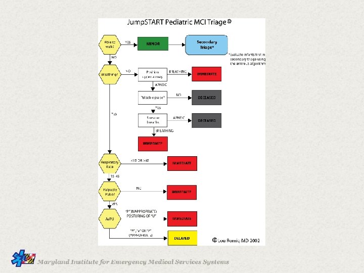 Maryland Triage System Tag START and Jump START
