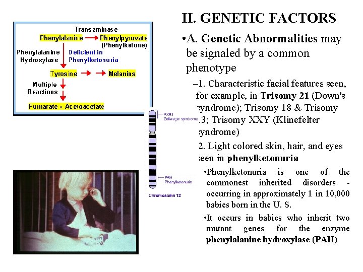 CONGENITAL MALFORMATIONS AND TERATOLOGY TERMINOLOGY TERATOGEN AN AGENT