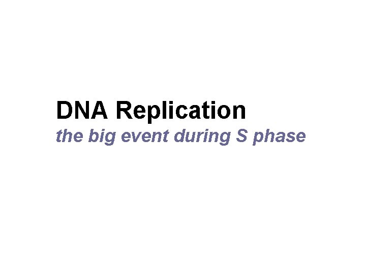 Monday February 5 Draw Label the stages of