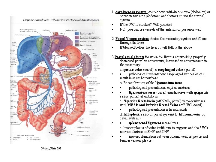 Playing Create a Lesion If you block one