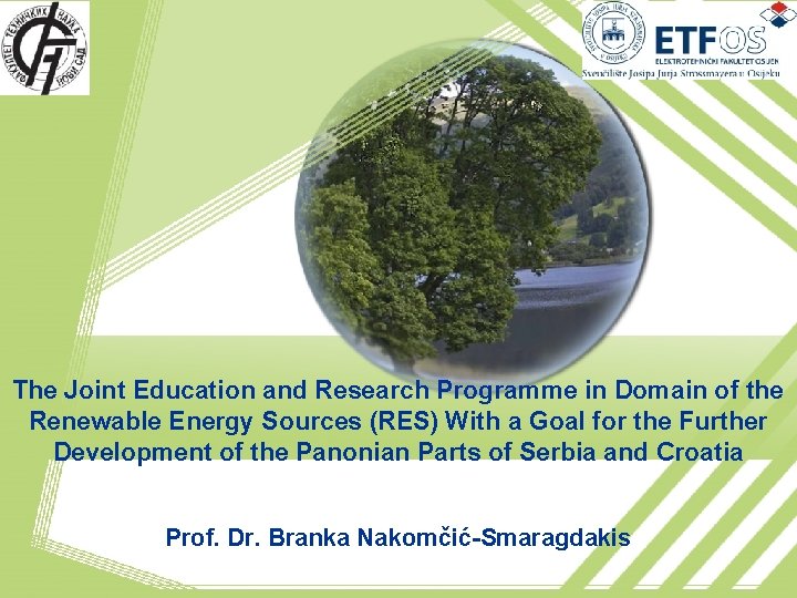The Joint Education and Research Programme in Domain