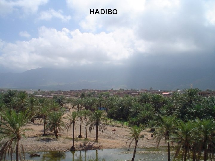 Arbia kkve egy bizarr sziget az Indiaicenon THE