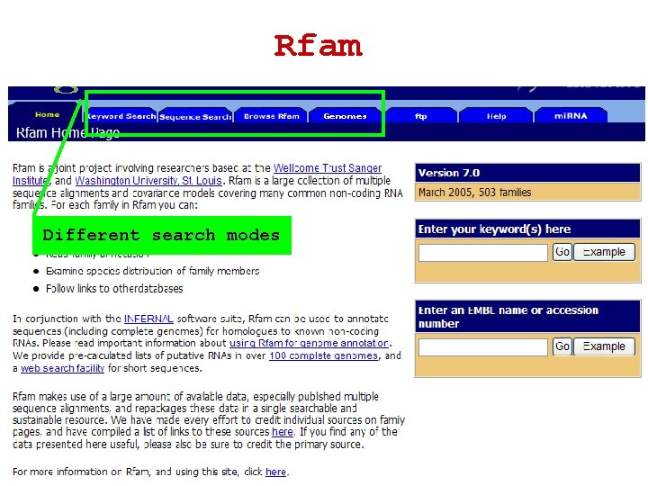 RNA Structure Prediction Rfam RNA structures database RNAfold