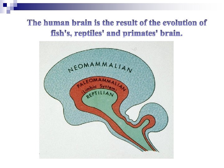 The technological progress and noospheregenesis V V Buryak