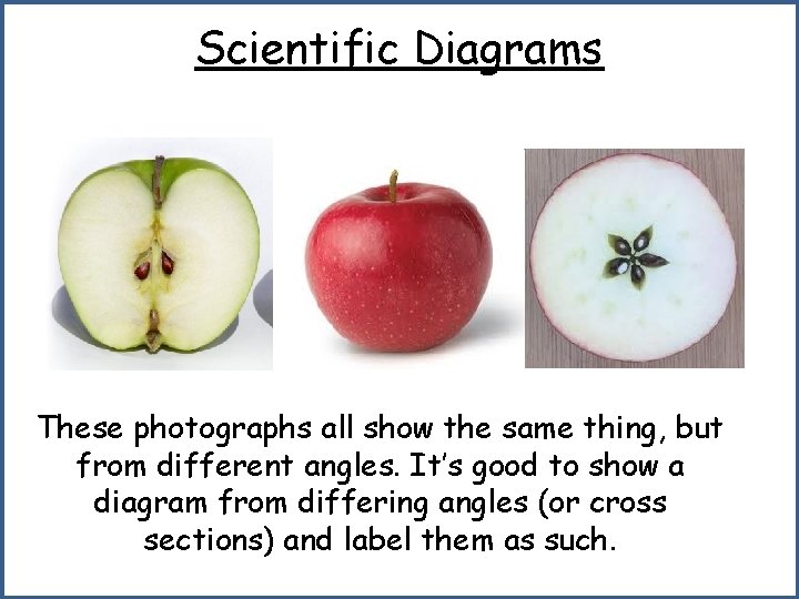 Scientific Drawing Scientific drawing is all about creating