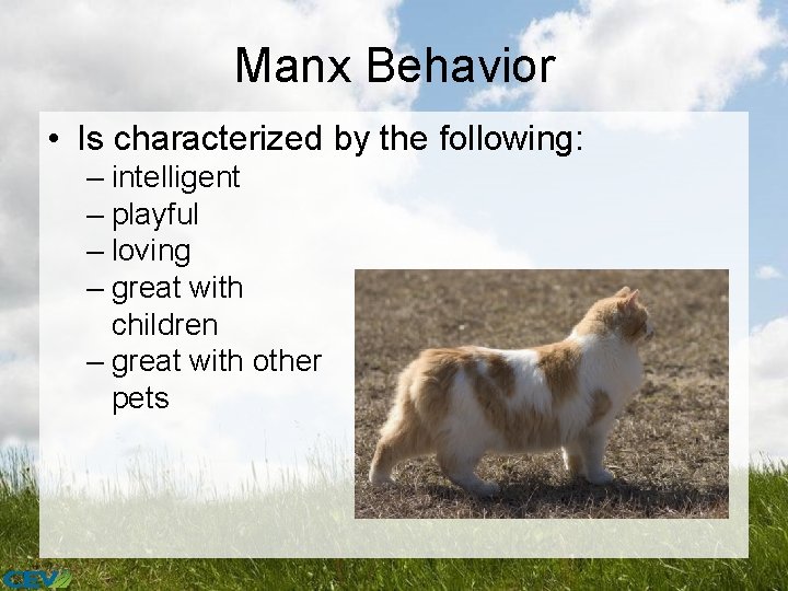 Breeds of Companion Animals Cats Objectives To examine