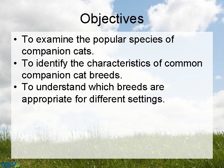 Breeds of Companion Animals Cats Objectives To examine
