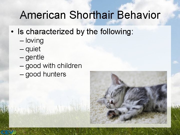 Breeds of Companion Animals Cats Objectives To examine