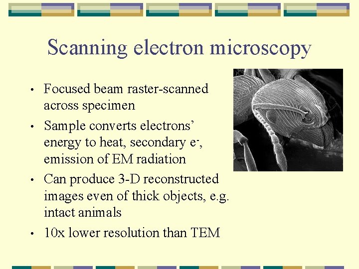 Cryoelectron Microscopy Andy Howard Biology 555 9 October