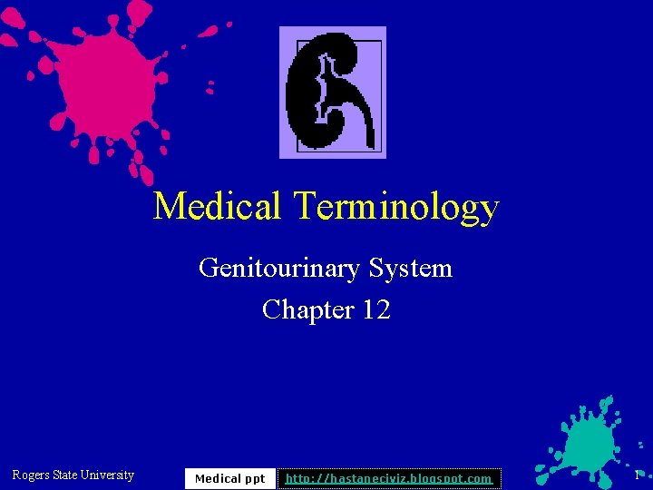Medical Terminology Genitourinary System Chapter 12 Rogers State