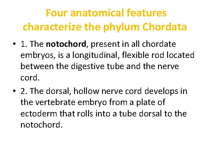 CHORDATES and VERTEBRATES Or you got a lot