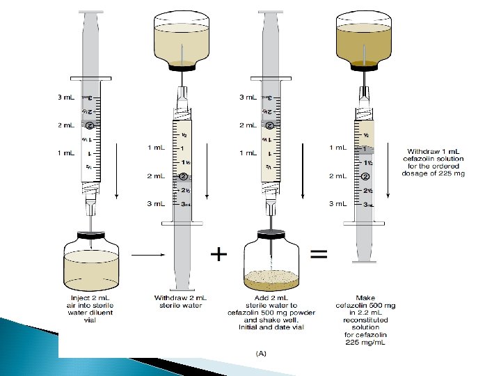 Systems of Measurement in Veterinary Pharmacology Dr Dipa