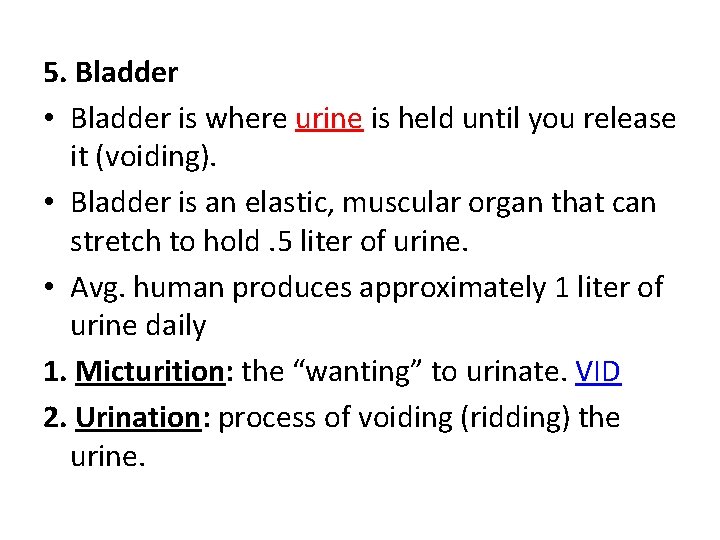Excretory System VID The removal of metabolic wastes