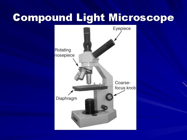 Vocabulary Lesson 1 3 Microscopic Organisms on Earth