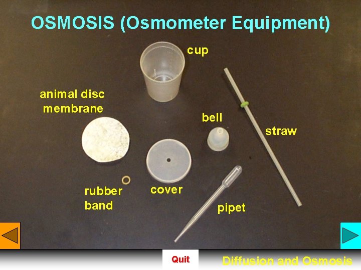 Diffusion and Osmosis Start Quit TABLE OF CONTENTS