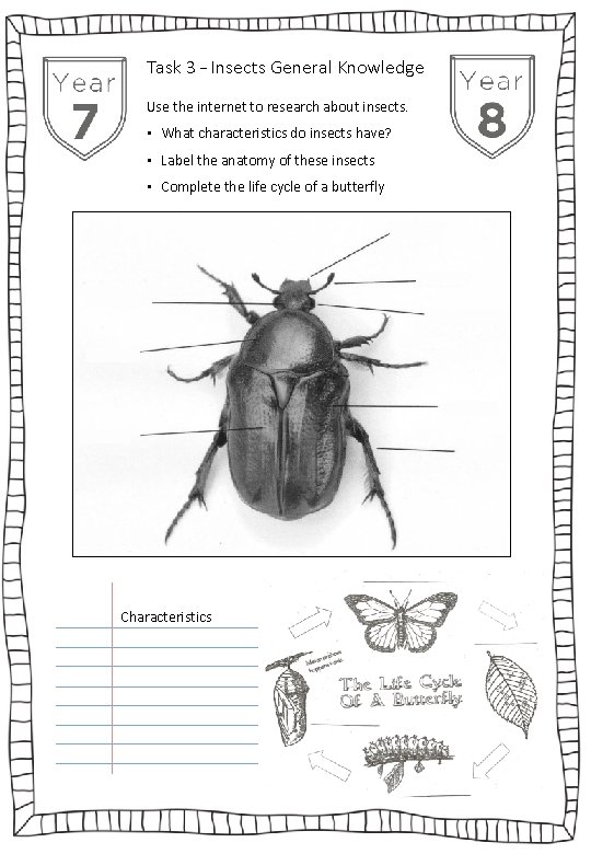 Name Class Task 1 Artist Research Page Lucy