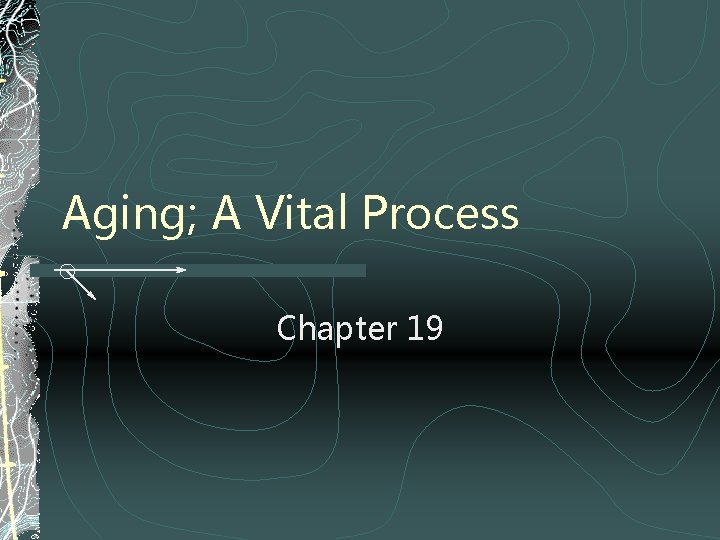 Aging A Vital Process Chapter 19 Life is