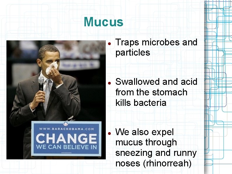 The Bodys Defenses The Immune System Main Point