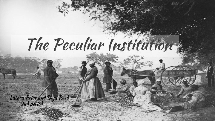 The Peculiar Institution Latara Price and Deja Reed