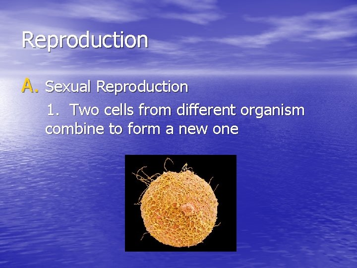 Biology What are we studying Bios Greek root