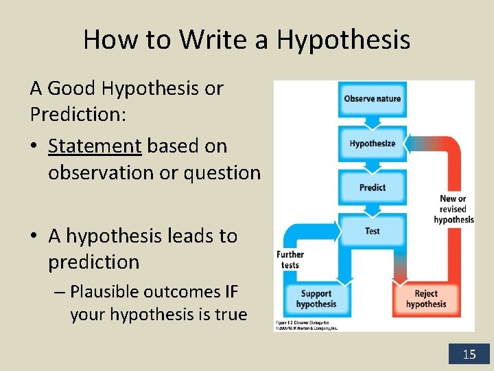 The Scientific Method The Scientific Method How can