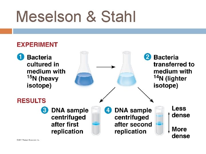 THE MOLECULAR BASIS OF INHERITANCE Chapter 16 What
