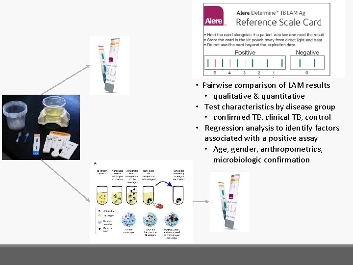 Nanotechnology to improve the diagnosis of tuberculosis in