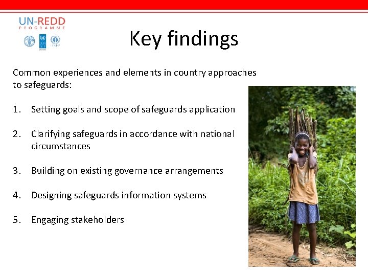 COUNTRY APPROACHES TO SAFEGUARDS whats working and what