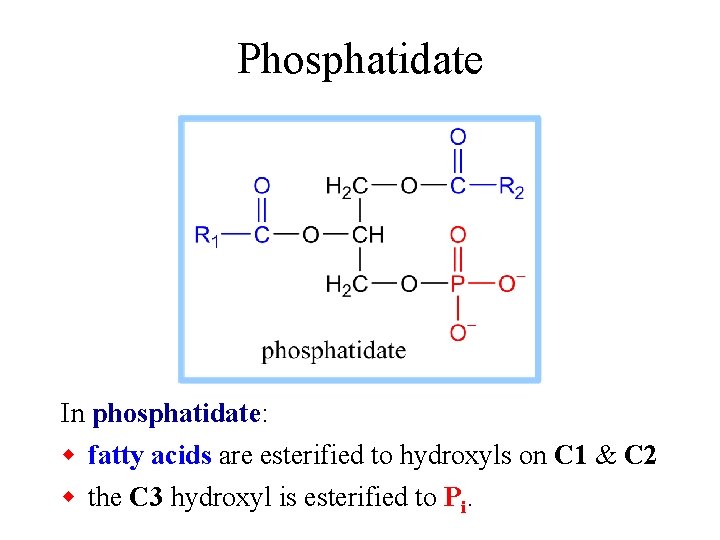 Biochemistry of Metabolism Lipids Membranes Copyright 1999 2006