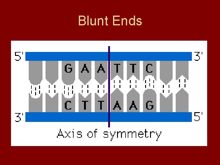 Genetic Technology By Mr B del Rosario 3