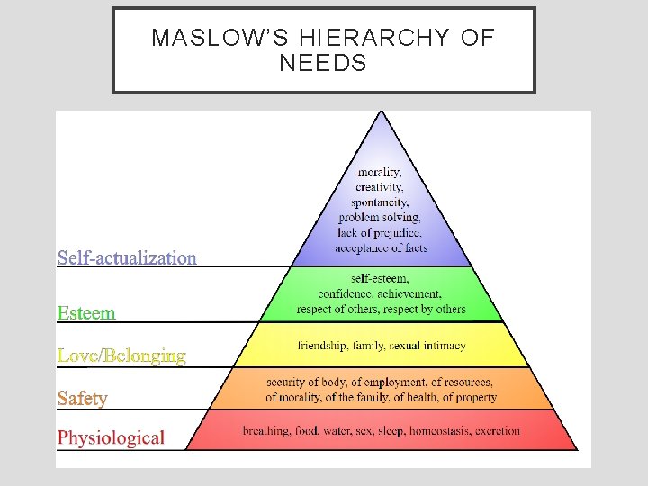 TRAINEES EXPERIENCING DIFFICULTIES KAREN BRADLEY ELENA PAMPHILON PLAN