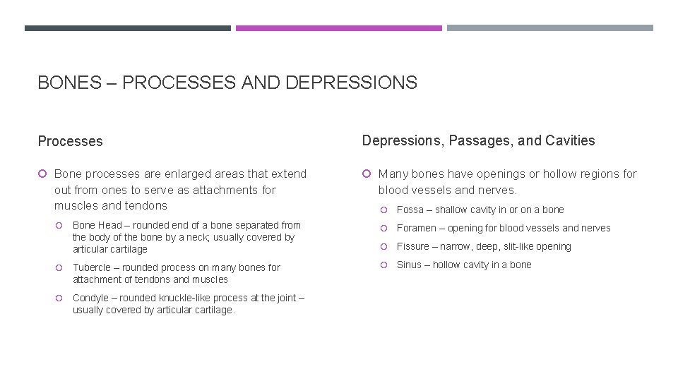 MUSCULOSKELETAL SYSTEM INTRODUCTION Bones Framework movement and protection