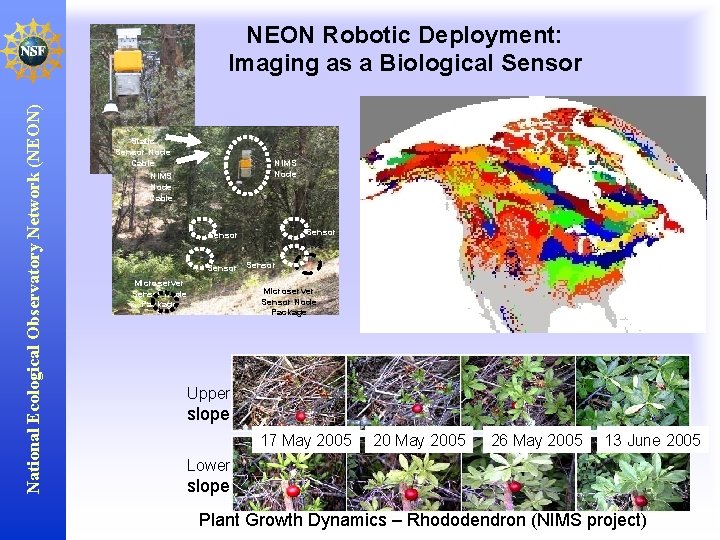 NEON National Ecological Observatory Network Dr Elizabeth Blood